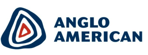 LIMM - LIMM Laboratorios Integrales en Metalurgia y Materiales